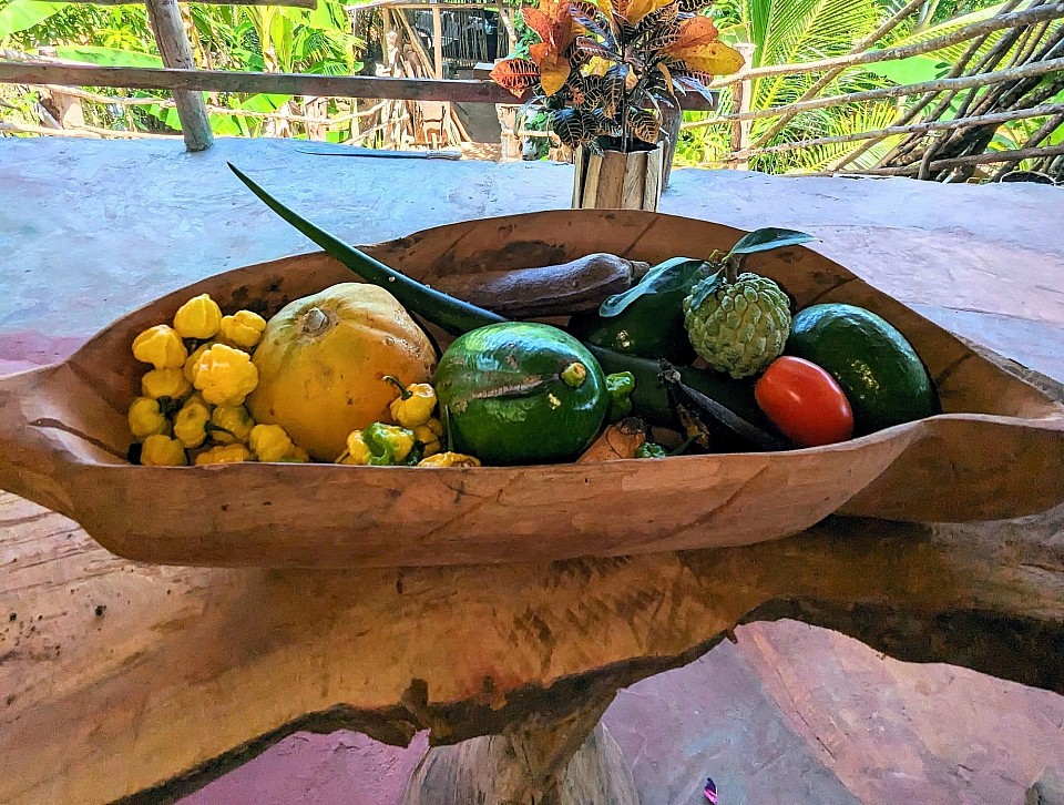 Tropical Farm Tours 🇯🇲 Jamaican Roots Tropical Farm Negril