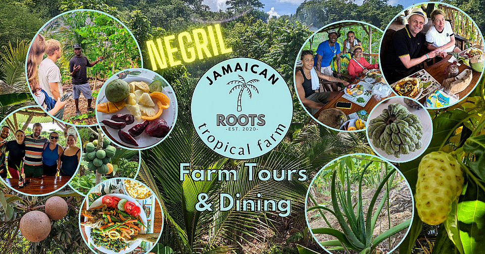 Tropical Farm Tours 🇯🇲 Jamaican Roots Tropical Farm Negril